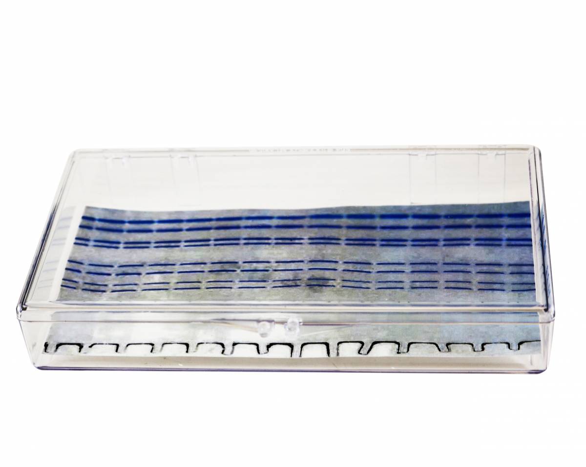 249602 - Mini-Blotting Containers, 17.15 x 8.9 x 2.0cm, Clear, 4 per Case