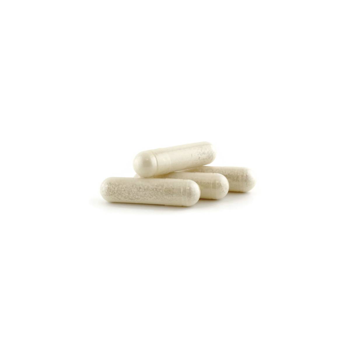 A20021-1000.0 - Agar, 1 Gram Capsules, High Gel Strength, 1 Kilogram