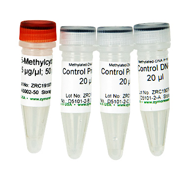 ZD5101-2 - Methylated/Non-Methylated Control DNA & Primer Set