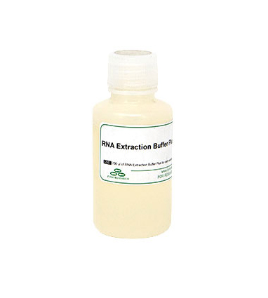 ZR1038-1-50 - RNA Extraction Buffer Plus, 50 ml