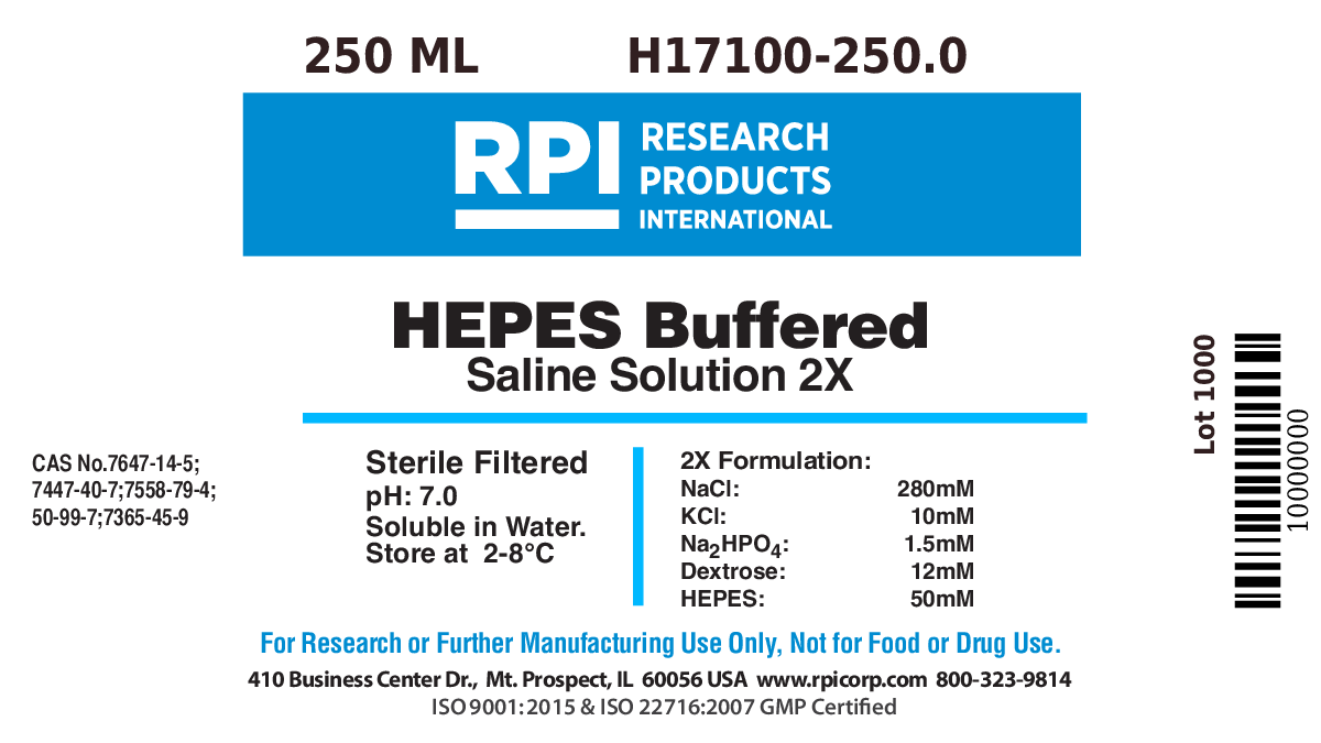 H17100-250.0 - HEPES Buffered Saline Solution 2X, 250 Milliliters